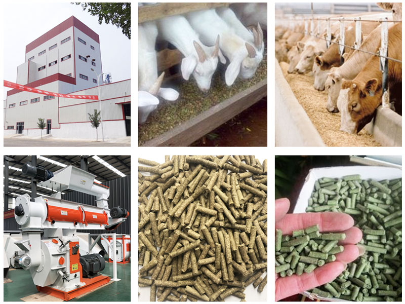 Hot Sale Cattle Feed Production Line,Cattle Feed Machinery,Cattle Feed ...